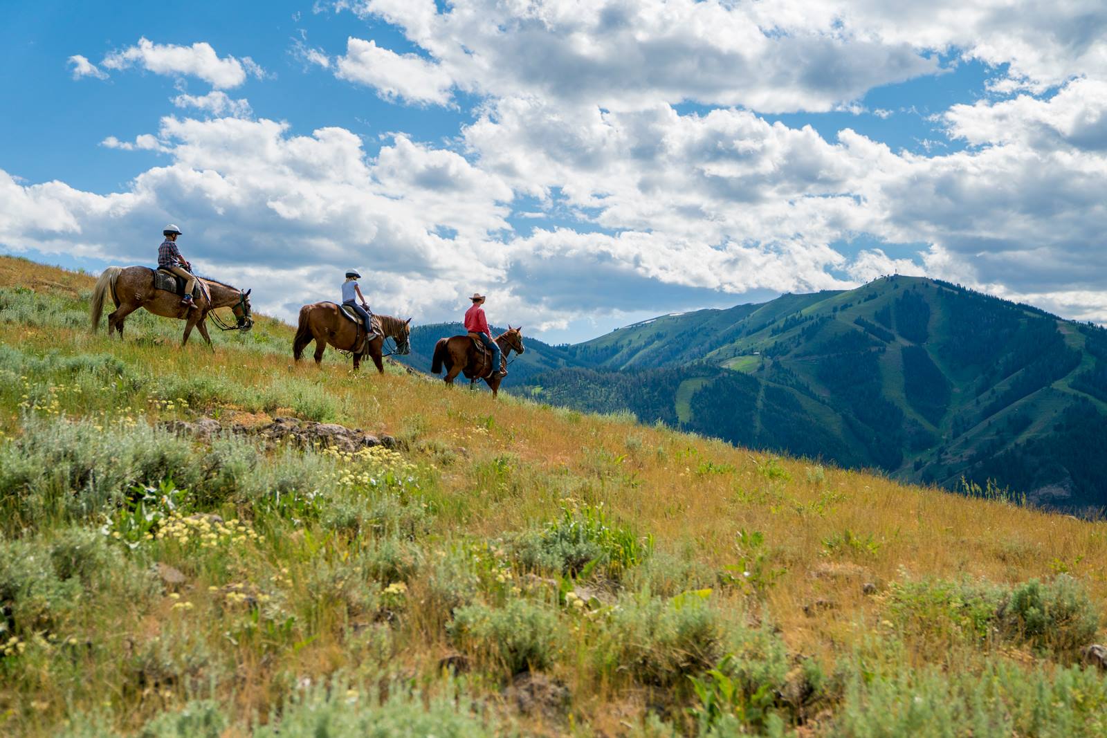 Ketchum - Sun Valley Horseback Riding | Visit Sun Valley